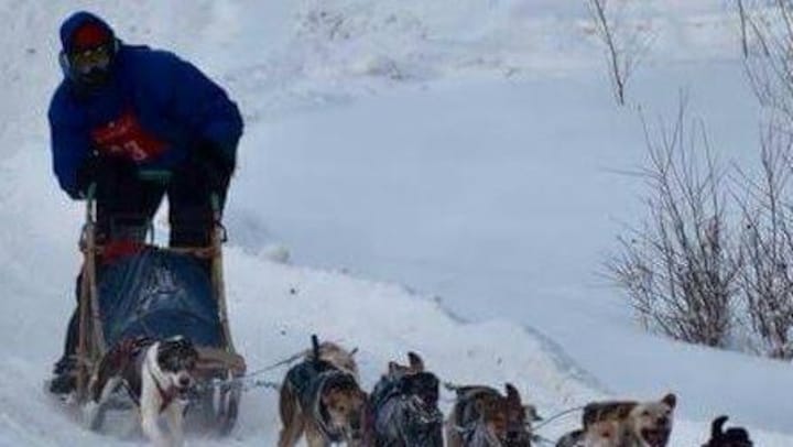 Compétitions dans l'Ouest canadien pour un meneur de chiens gaspésien ...