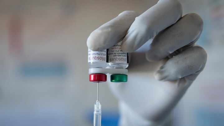 Le nouveau vaccin contre la malaria | OHdio | Radio-Canada