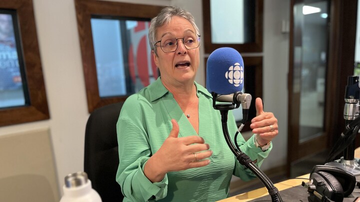 Autorisation pour la Fonderie Horne : le comité de vigie retardé dans ...