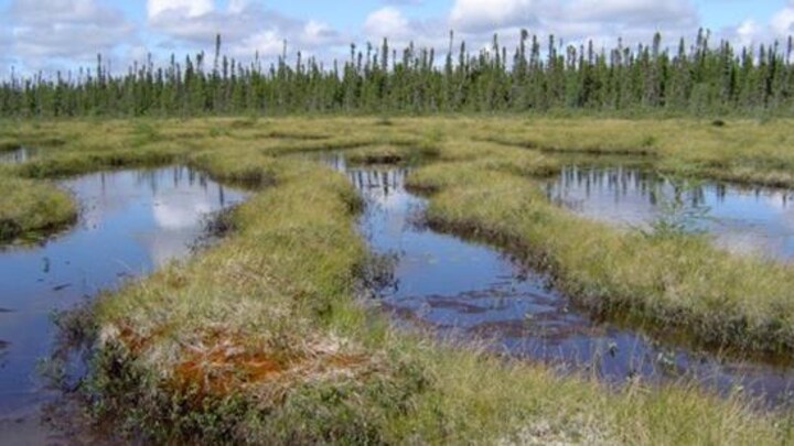 Québec permet la destruction gratuite de l'environnement au nord du 49e ...