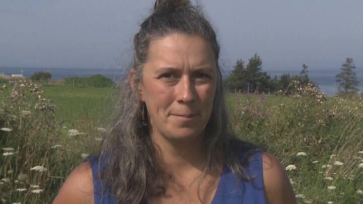 Trécarré : l’histoire des musiciens de la baie Sainte-Marie | OHdio ...