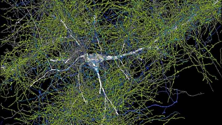 Mieux comprendre nos neurotransmetteurs avec l’optogénétique | OHdio ...
