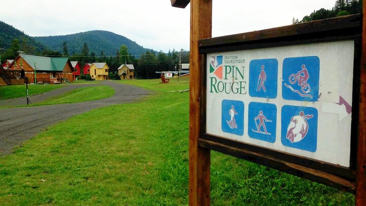 Pin Rouge cartographiée par un expert | OHdio | Radio-Canada