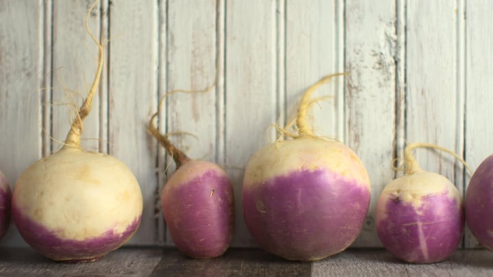 Cuisiner de saison : pleins feux sur la rabiole | OHdio | Radio-Canada