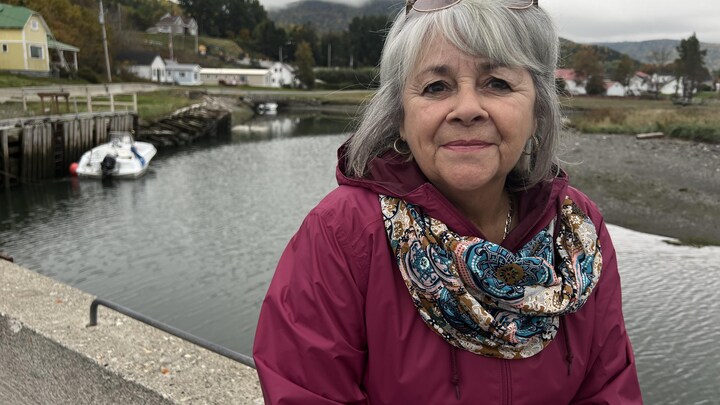 Appel à la cohésion dans le dossier du caribou | OHdio | Radio-Canada