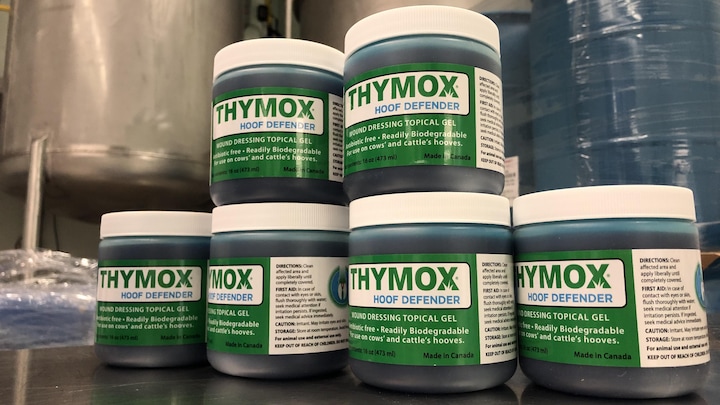 Thymox : histoire du succès d’un désinfectant biodégradable québécois ...