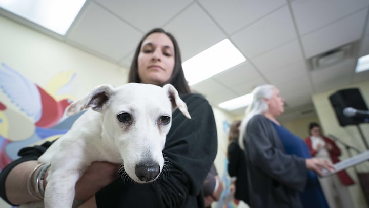Les animaux de compagnie acceptés dans les logements ? | OHdio | Radio ...