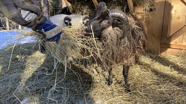 Changer son mode de vie pour diminuer le stress | OHdio | Radio-Canada