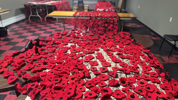Le coquelicot du 11 novembre et les autres fleurs symboliques | OHdio ...