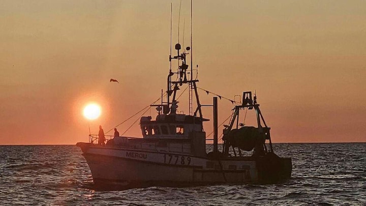 Des prises faméliques pour le pêcheur de crevettes Martin Elément ...