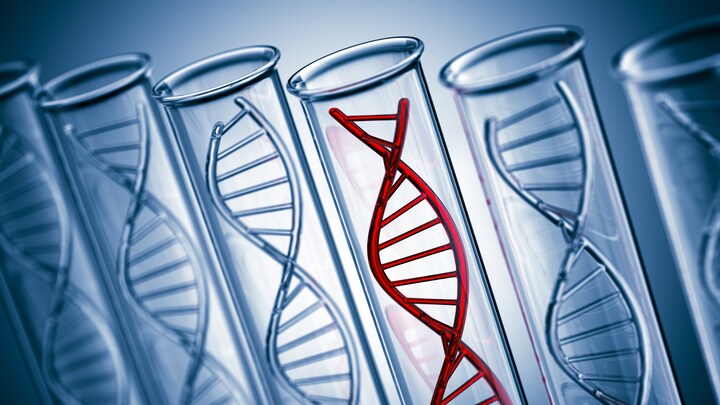 Qu’est-ce que les tests d’ADN nous révèlent vraiment? | OHdio | Radio ...