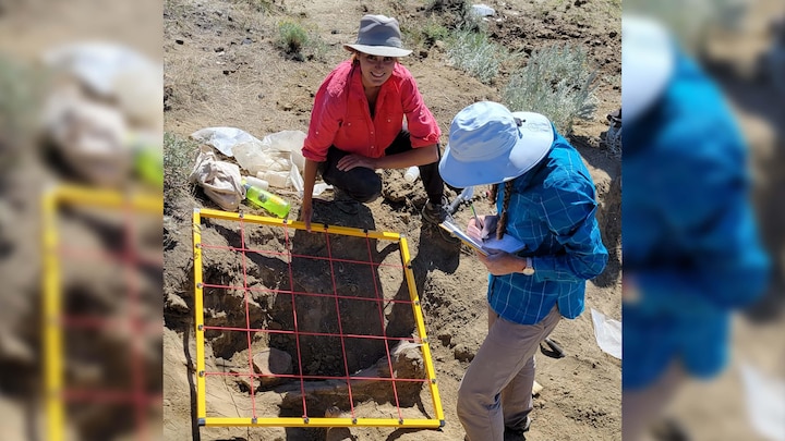 Une étudiante en paléontologie explique l'importance du Tyranosaure Rex ...