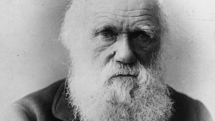 Darwin et la théorie de l’évolution : l’œuvre d’une vie | OHdio | Radio ...