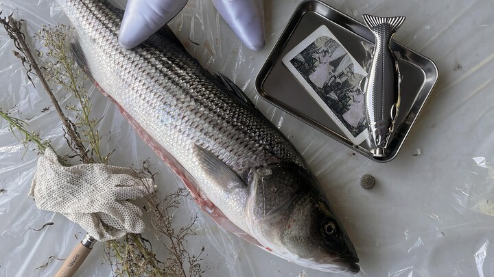 Une sortie de résidence sous le signe de la pêche à la Gare de ...