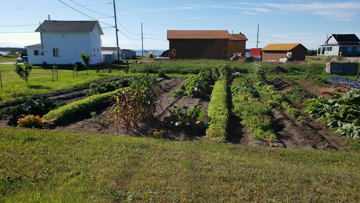 Nouvelle entreprise Les fleurs et le potager à l’Île Michon | OHdio ...