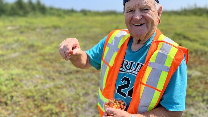 Conversation dans un champ de chicoutai | OHdio | Radio-Canada