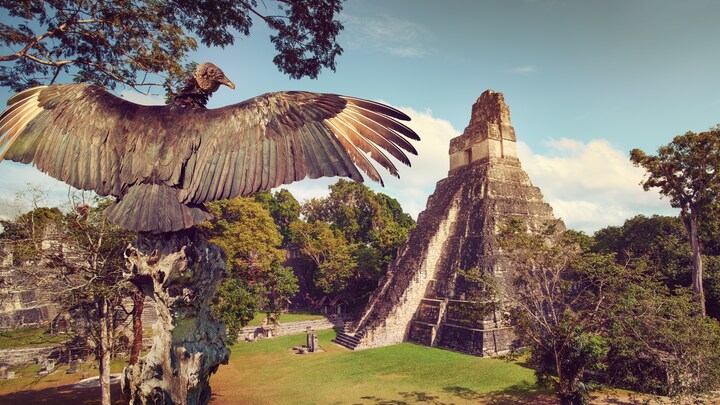 Les Mayas étaient plus nombreux que l’on croyait | OHdio | Radio-Canada