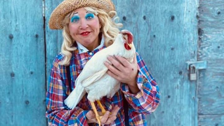 Le plaisir d'avoir des poules en ville | OHdio | Radio-Canada