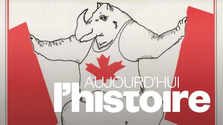 Le Parti rhinocéros, une formation absurde pour dérider le politique ...