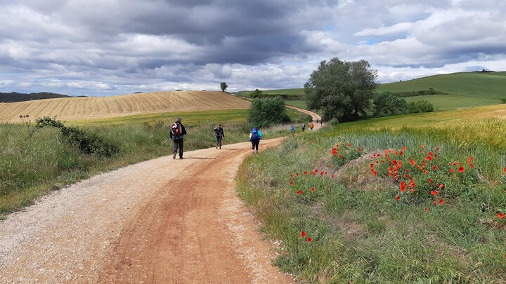 Un périple sur le chemin de Compostelle pour Blaise Gagnon | OHdio ...