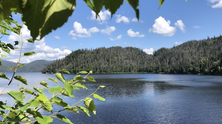 Une nouvelle Chaire de gestion durable de l’eau au Québec | OHdio ...