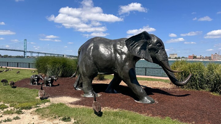 Découvrir les berges de la rivière Détroit avec l’Art Cart | OHdio ...