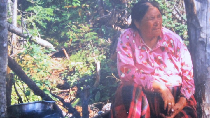 La fabuleuse histoire de Shunien, ancêtre innue | OHdio | Radio-Canada