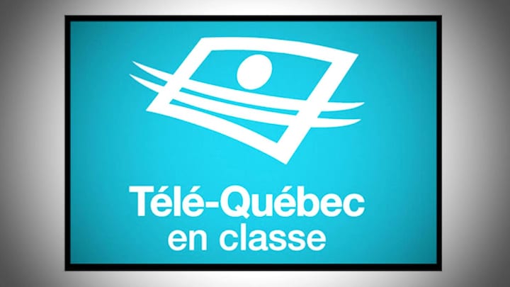 Des capsules éducatives diffusées à Télé-Québec pendant la pandémie ...