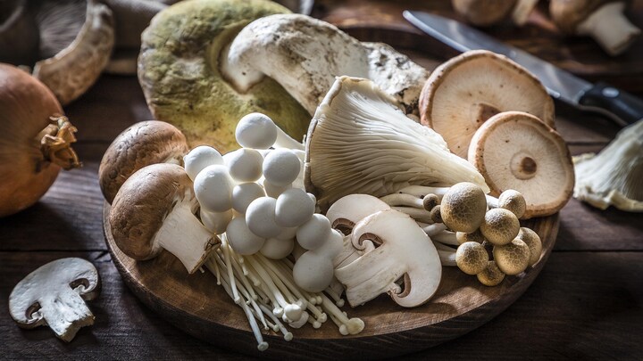 Cueillir et cuisiner les champignons avec le chef Adrian Pastor | OHdio ...