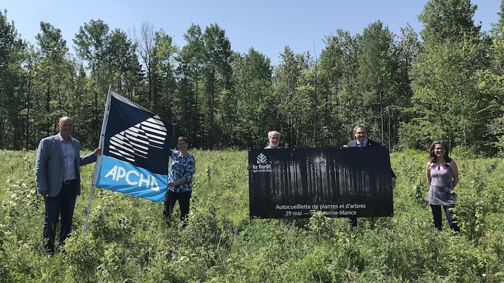La Forêt qui marche : les arbres voués au déboisement redonnés aux ...