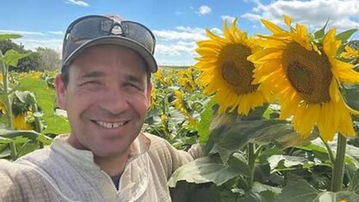 Un nouveau parasite fait planer une lourde menace sur les ruches du ...