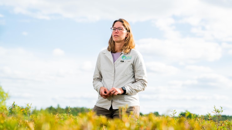 蔓越莓的代價 | Radio-Canada.ca