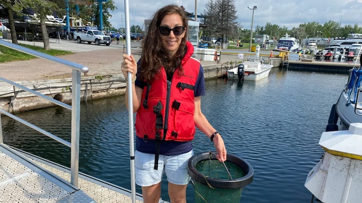 Los microplásticos omnipresentes en los Grandes Lagos, según un estudio ...
