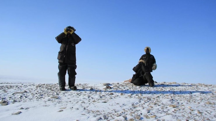 Arctic could be ice-free as early as 2030s says study | Radio-Canada.ca
