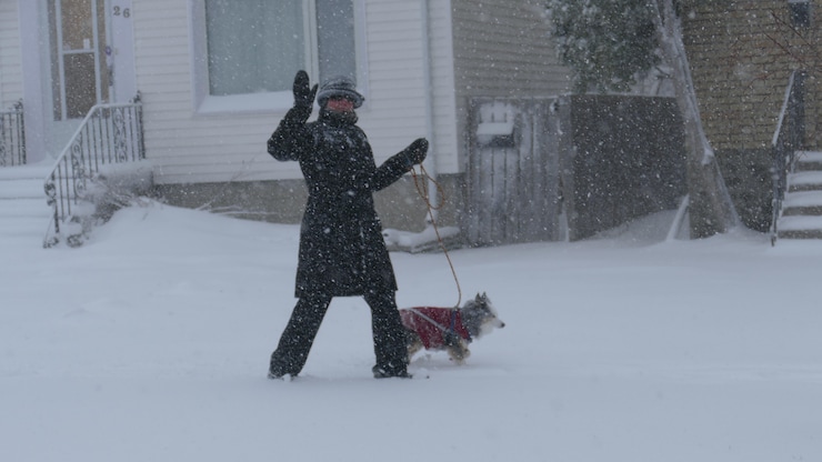 Heavy snow falling as major storm hits Manitoba, Saskatchewan and heads ...