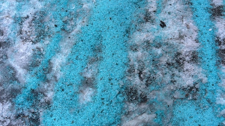 Ottawa cobbler on 25 years of fixes — and the sidewalk staple ’that ...