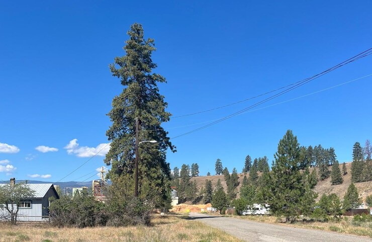 Will regular power cuts soon be part of Canadian summer? | Radio-Canada.ca