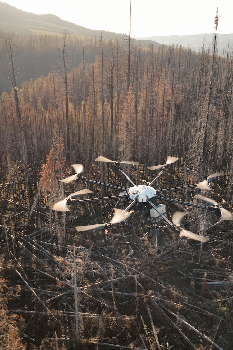 Des drones en renfort pour reboiser une forêt brûlée du Québec | Radio ...