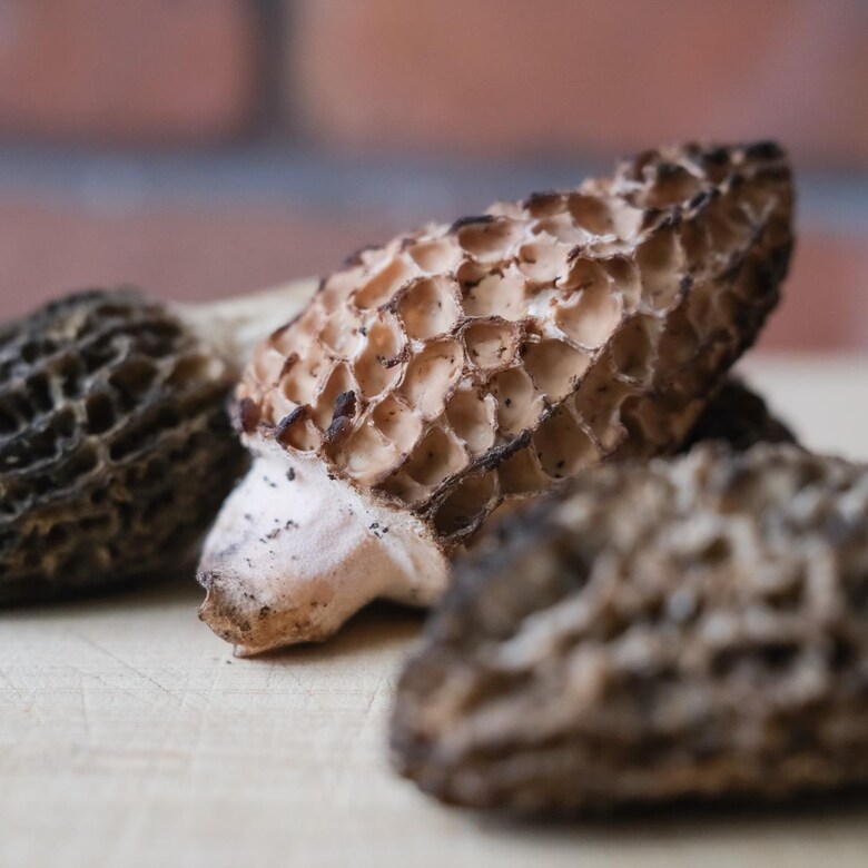 Le Canada gourmand | Mordu