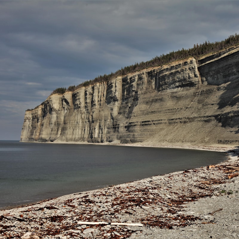 Les algues de l’île d’Anticosti, des trésors sous-marins | Radio-Canada.ca