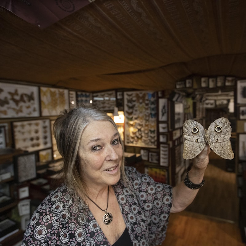 Georges Brossard, le « monarque des insectes », aura-t-il son musée ...