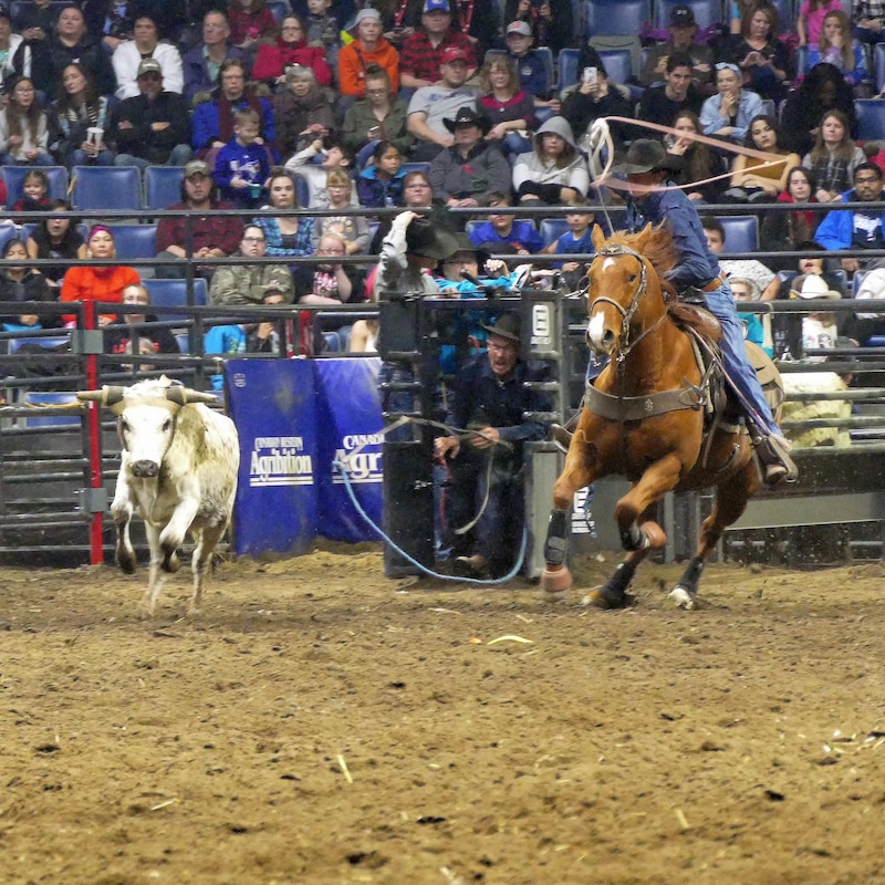 Info | Récits numériques