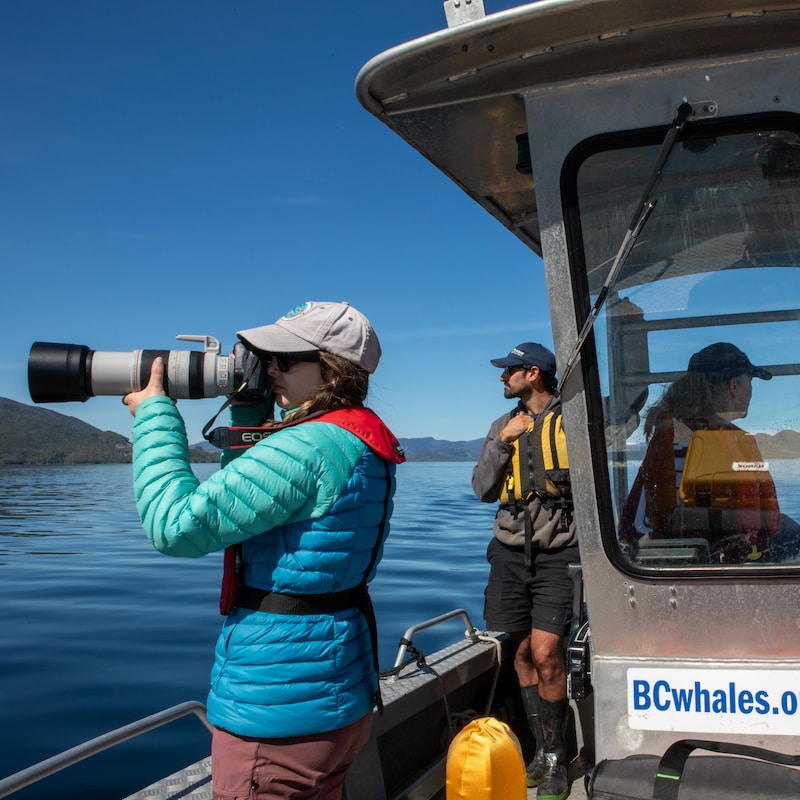 L’opéra des baleines | Radio-Canada.ca