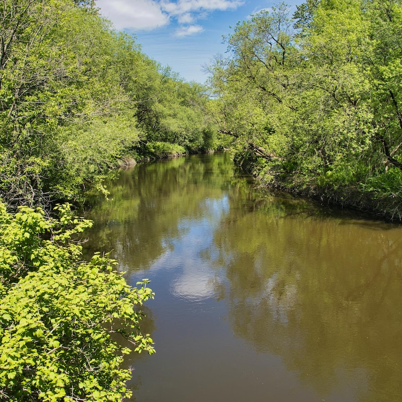 La rivière Saint-Charles, le secret le mieux gardé de Québec | Radio ...