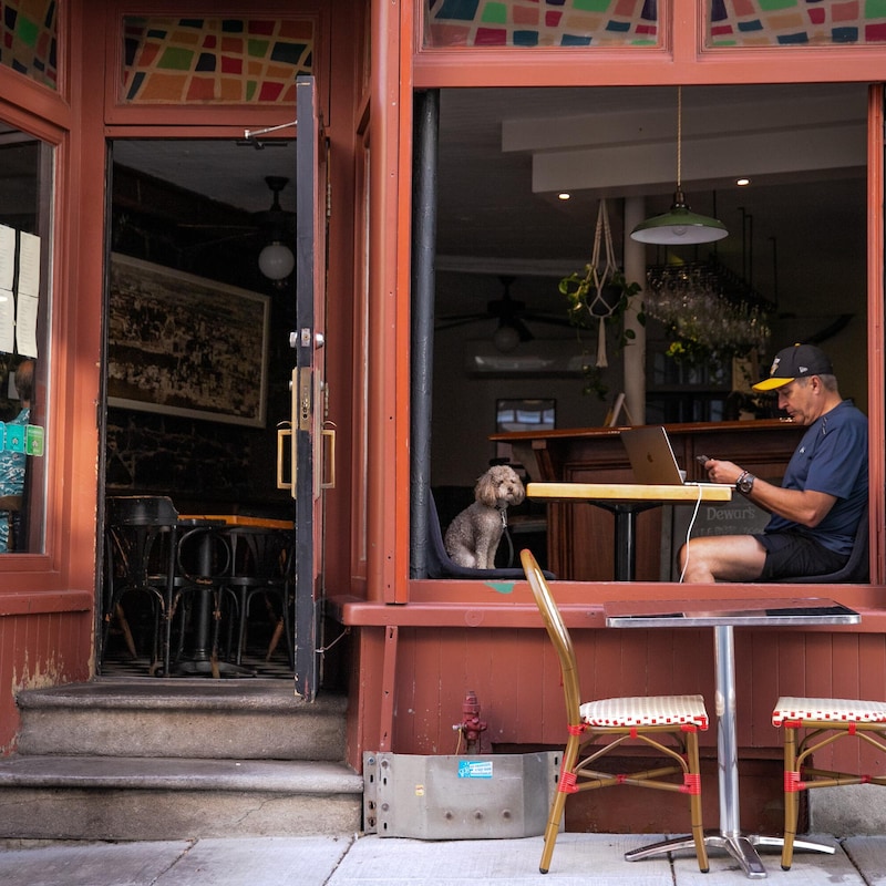 50 ans de bohème au café Chez Temporel | Radio-Canada.ca