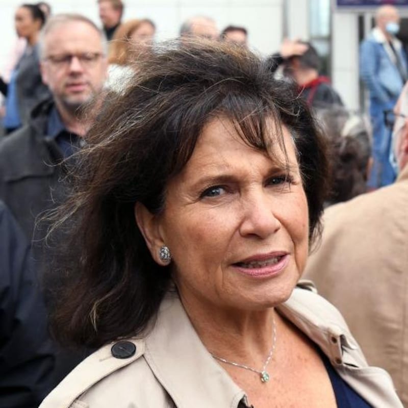 La journaliste Anne Sinclair mise sur la transparence et publie ses ...