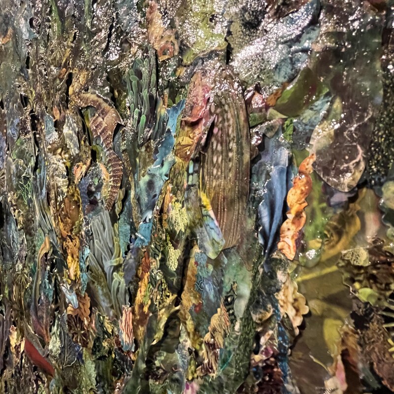 Les mondes de papier de Louyer | OHdio | Radio-Canada