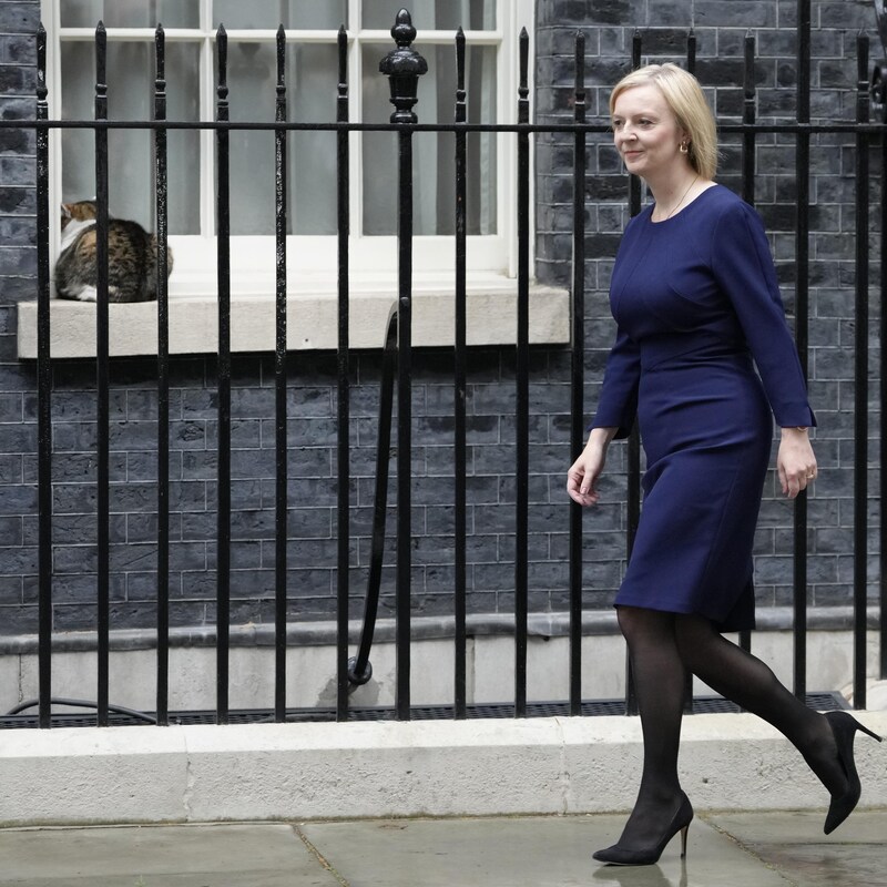 Des écureuils policiers? | MAJ | Radio-Canada