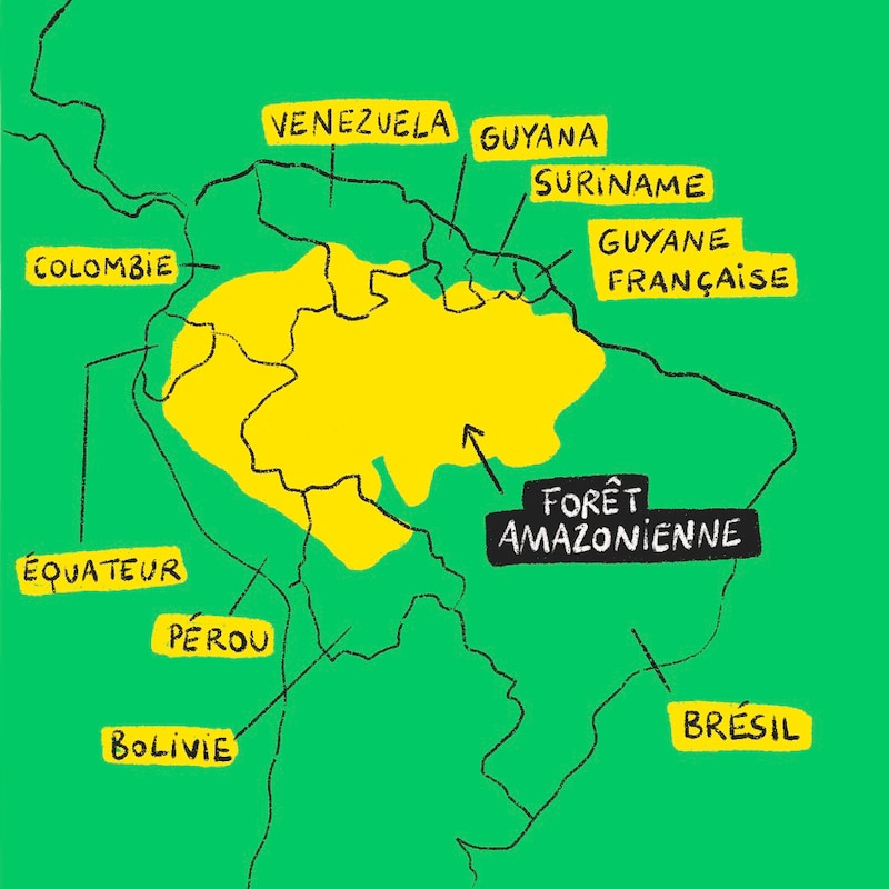 La déforestation de l’Amazonie ralentit au Brésil | MAJ | Radio-Canada