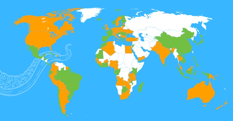 La haute mer officiellement protégée grâce à un traité | MAJ | Radio-Canada
